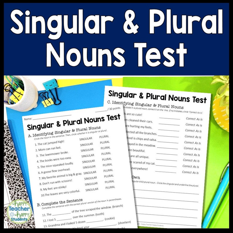 Singular & Plural Nouns Test: 2-page Singular and Plural Noun Quiz W ...