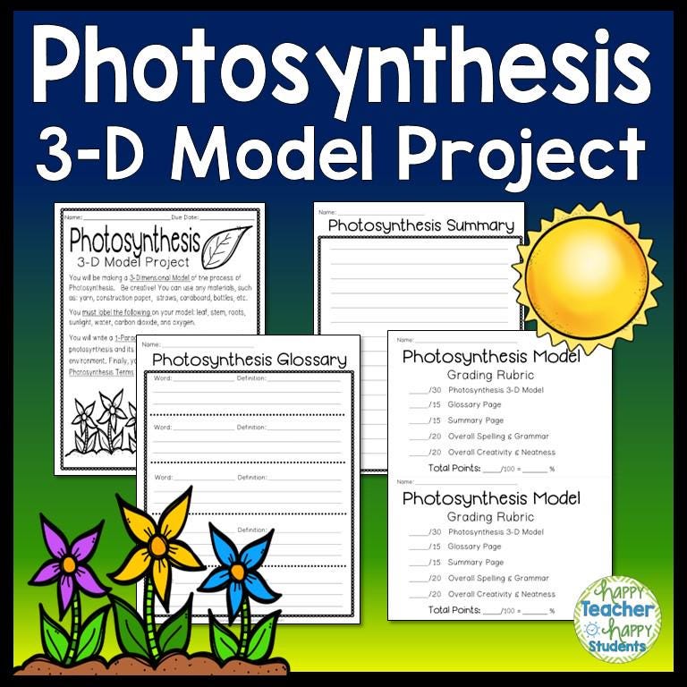 Photosynthesis Project: 3-D Model of Photosynthesis With Glossary ...