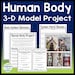 Human Body Project, Science Fair Idea, 3D Model Human Body, Body ...