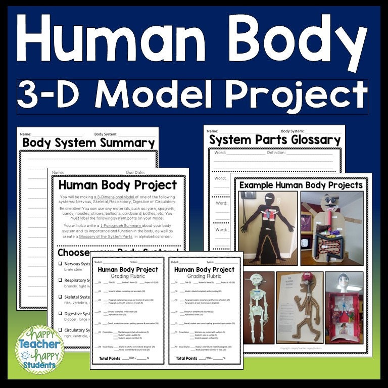 Human Body Project, Science Fair Idea, 3D Model Human Body, Body ...