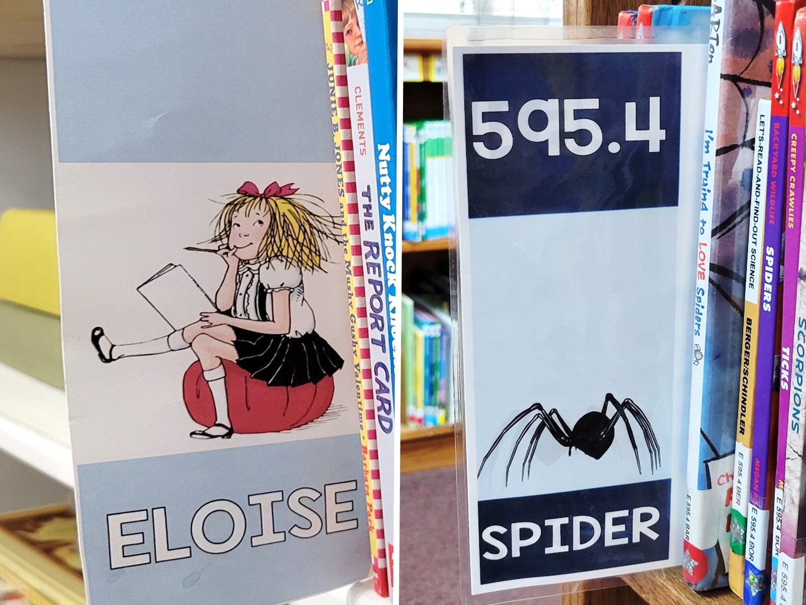 Nonfiction AND Fiction Library Shelf Dividers Classroom - Etsy