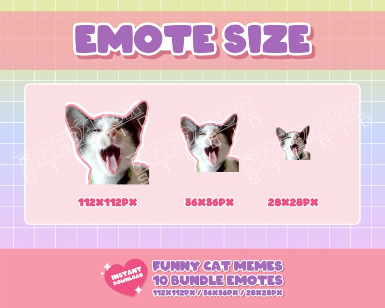 10 Cute Cat Memes Emote Pack 11 Stream Emotes Cute Emotes - Etsy