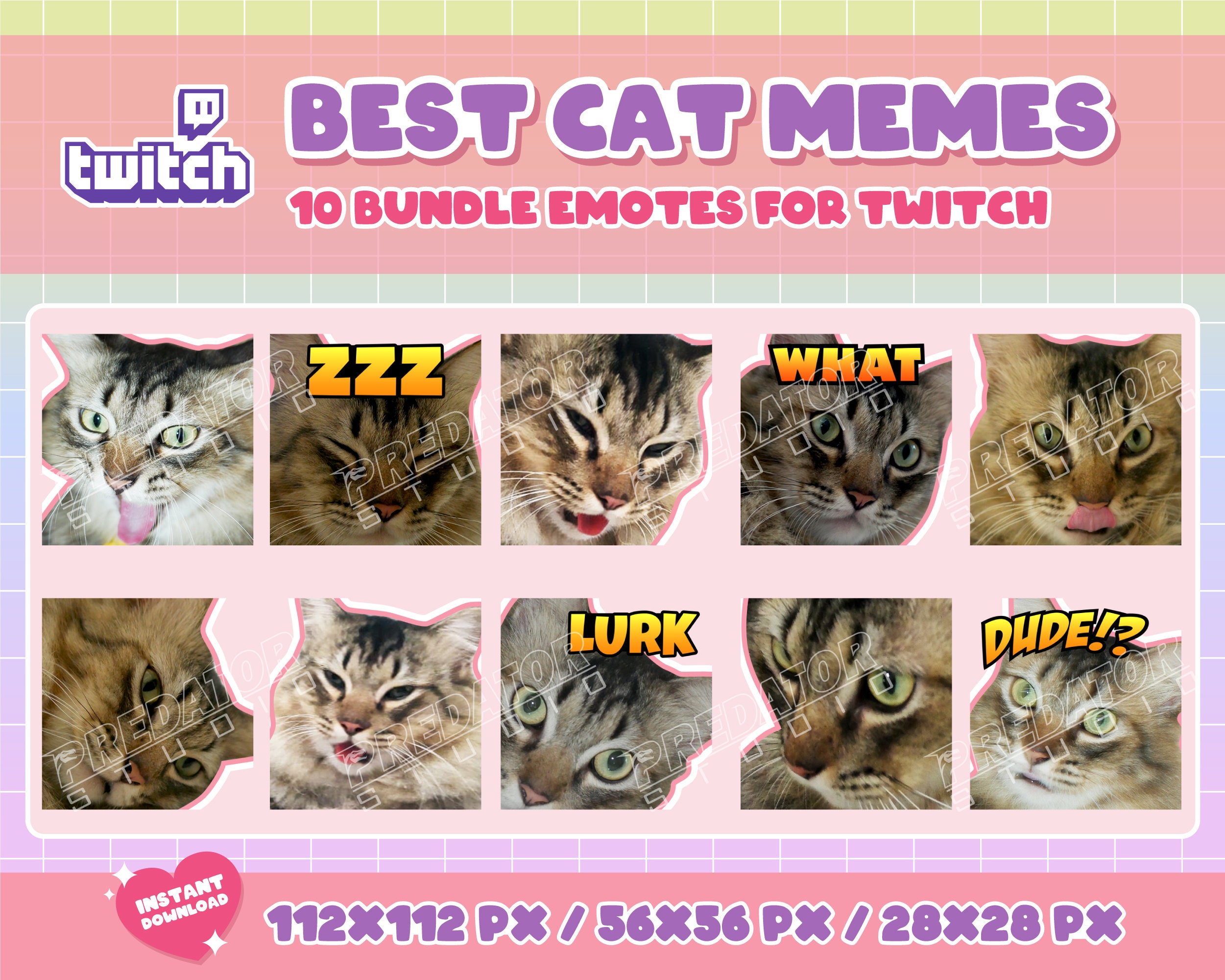 10 Cute Cat Memes Emote Pack 5 Lurk Emote Emote Commission - Etsy UK