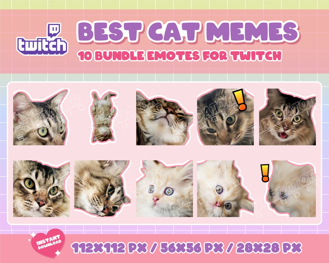 10 Cute Cat Memes Emote Pack 6, Emote Commission, Emotes Twitch, Kitty ...