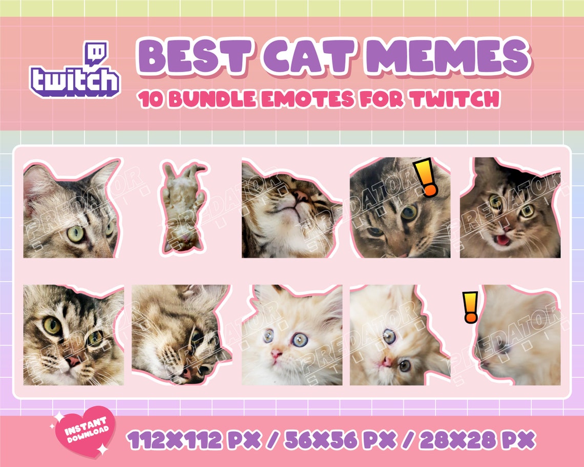 10 Cute Cat Memes Emote Pack 6 Emote Commission Emotes - Etsy