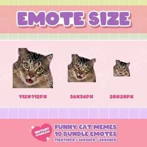 10 Cute Cat Memes Emote Pack 6, Emote Commission, Emotes Twitch, Kitty ...