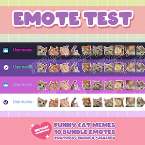 10 Cute Cat Memes Emote Pack 1, Cute Emotes, Emote, Animal Emotes, Cat ...