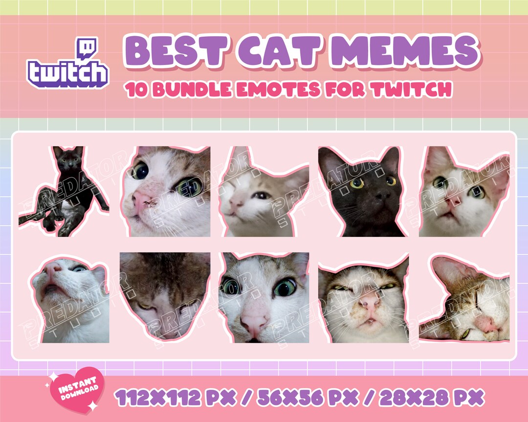 10 Cute Cat Memes Emote Pack 7, Emote Pack, Emote Commission, Twitch ...