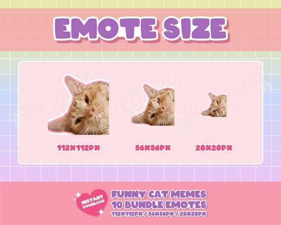 Cute Cat Meme Generator