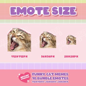 10 Cute Cat Memes Emote Pack 10, Cat Emotes, Sad Emote, Kitty Emotes ...