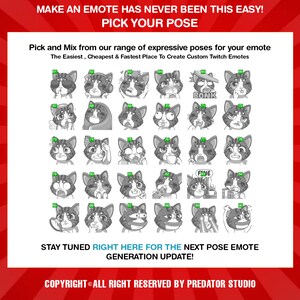 Custom Animal Emotes for Twitch Streams - 10 Emotes in 3 Days - Etsy