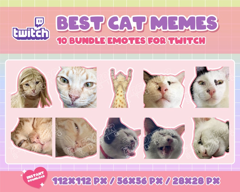 10 Cute Cat Memes Emote Pack 9 Cute Emotes Emotes Pack - Etsy
