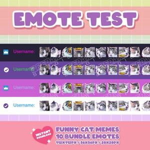 10 Cute Cat Memes Emote Pack 3 Kitty Emotes Cat Emote Emote - Etsy
