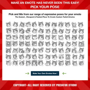 Custom Animal Emotes for Twitch Streams - 10 Emotes in 3 Days - Etsy