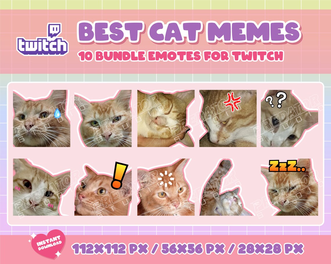 10 Cute Cat Memes Emote Pack 1 Cute Emotes Emote Animal - Etsy
