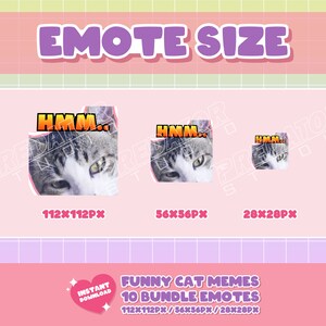 10 Cute Cat Memes Emote Pack 4, Animal Emotes, Lurk Emotes, Cute Emotes ...