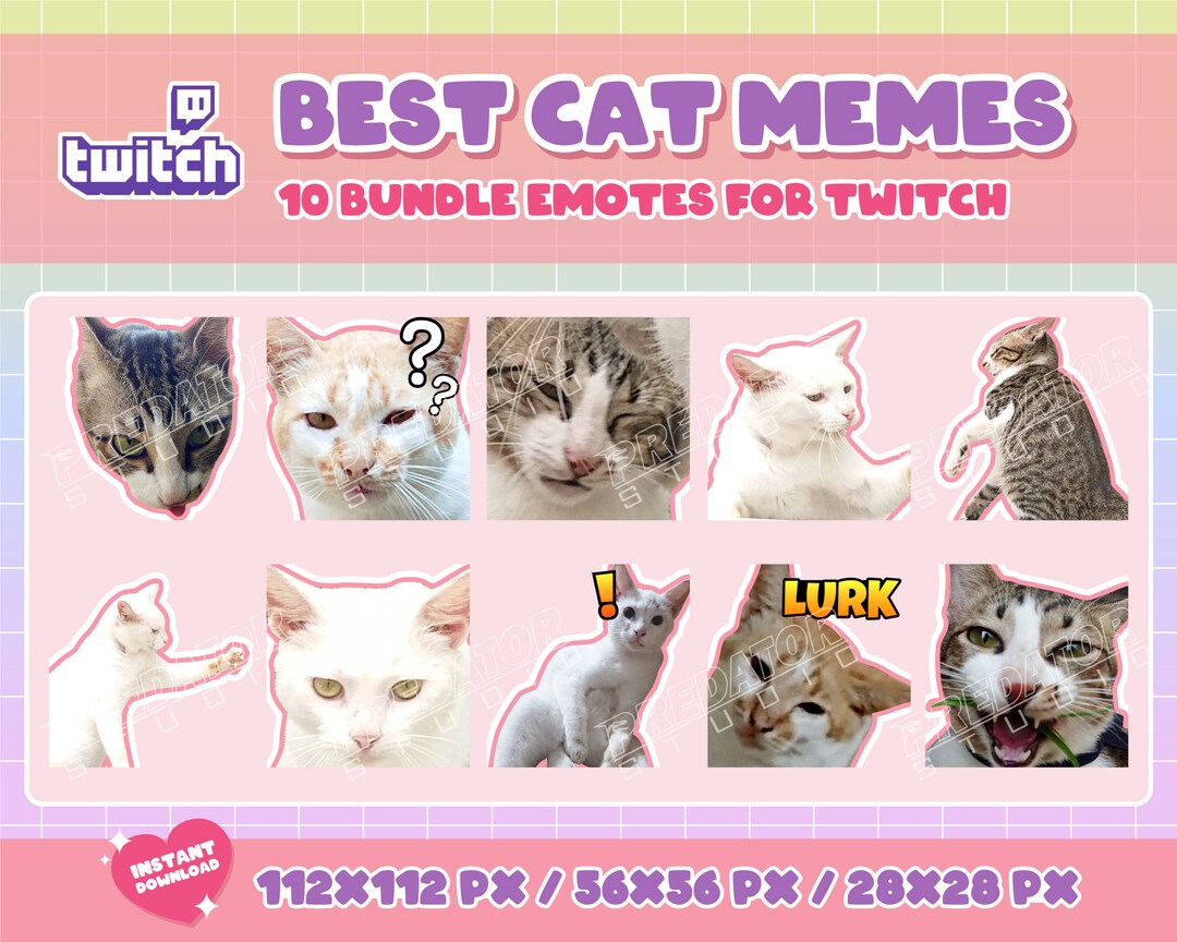 10 Cute Cat Memes Emote Pack 13, Lurk Emotes, Cat Emotes, Emote ...