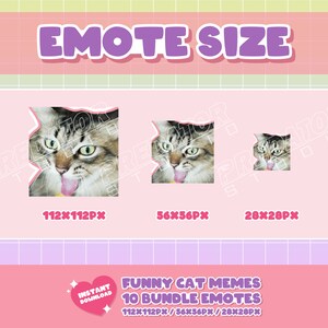 10 Cute Cat Memes Emote Pack 5, Lurk Emote, Emote Commission, Twitch ...