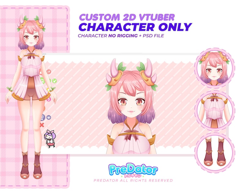 Custom Live2d Vtuber Model: Unique Character Design (PSD File) - Etsy