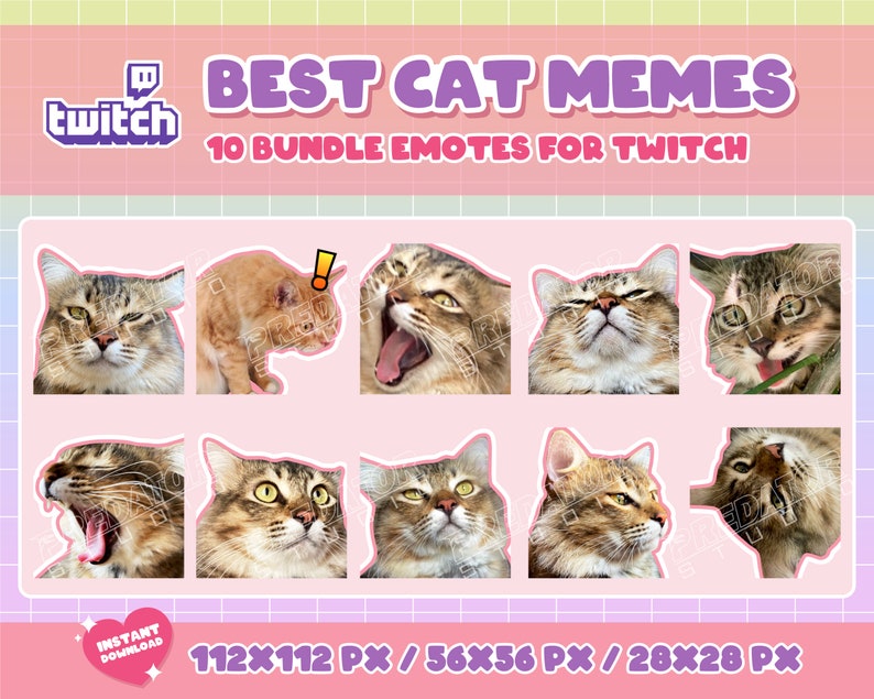 10 Cute Cat Memes Emote Pack 10 Cat Emotes Sad Emote Kitty - Etsy