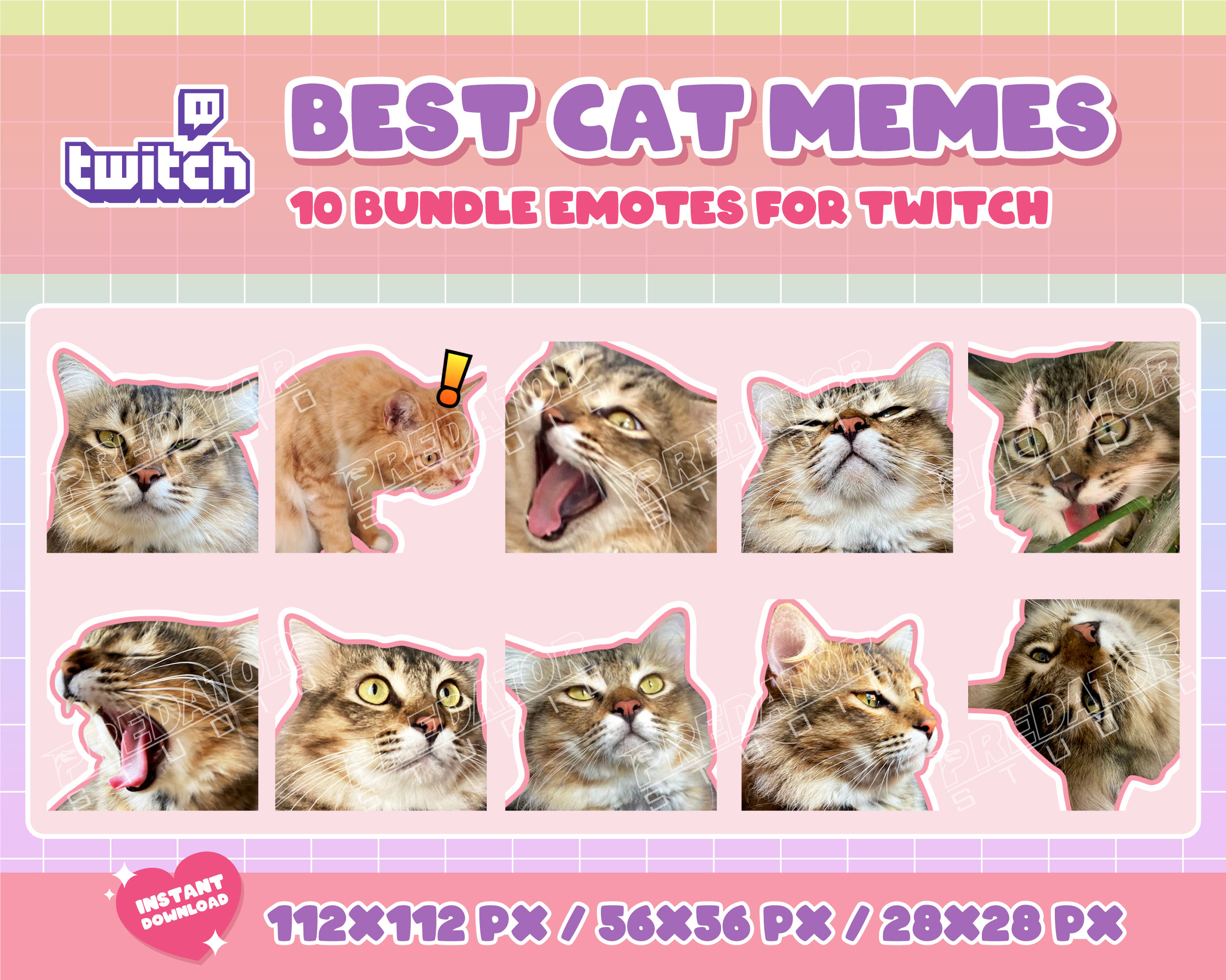 10 Cute Cat Memes Emote Pack 10 Cat Emotes Sad Emote Kitty - Etsy Canada