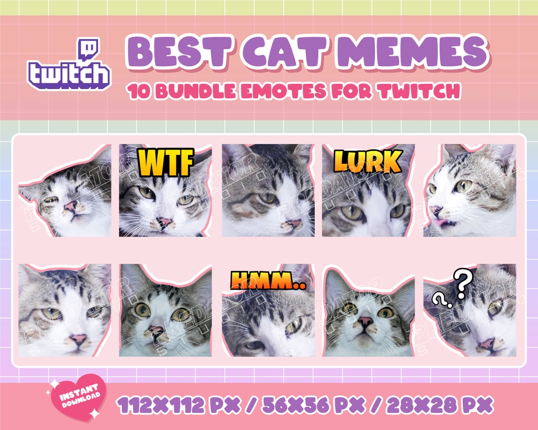 10 Cute Cat Memes Emote Pack 4, Animal Emotes, Lurk Emotes, Cute Emotes ...