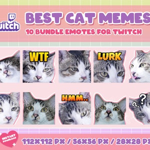 10 Cute Cat Memes Emote Pack 4, Animal Emotes, Lurk Emotes, Cute Emotes ...