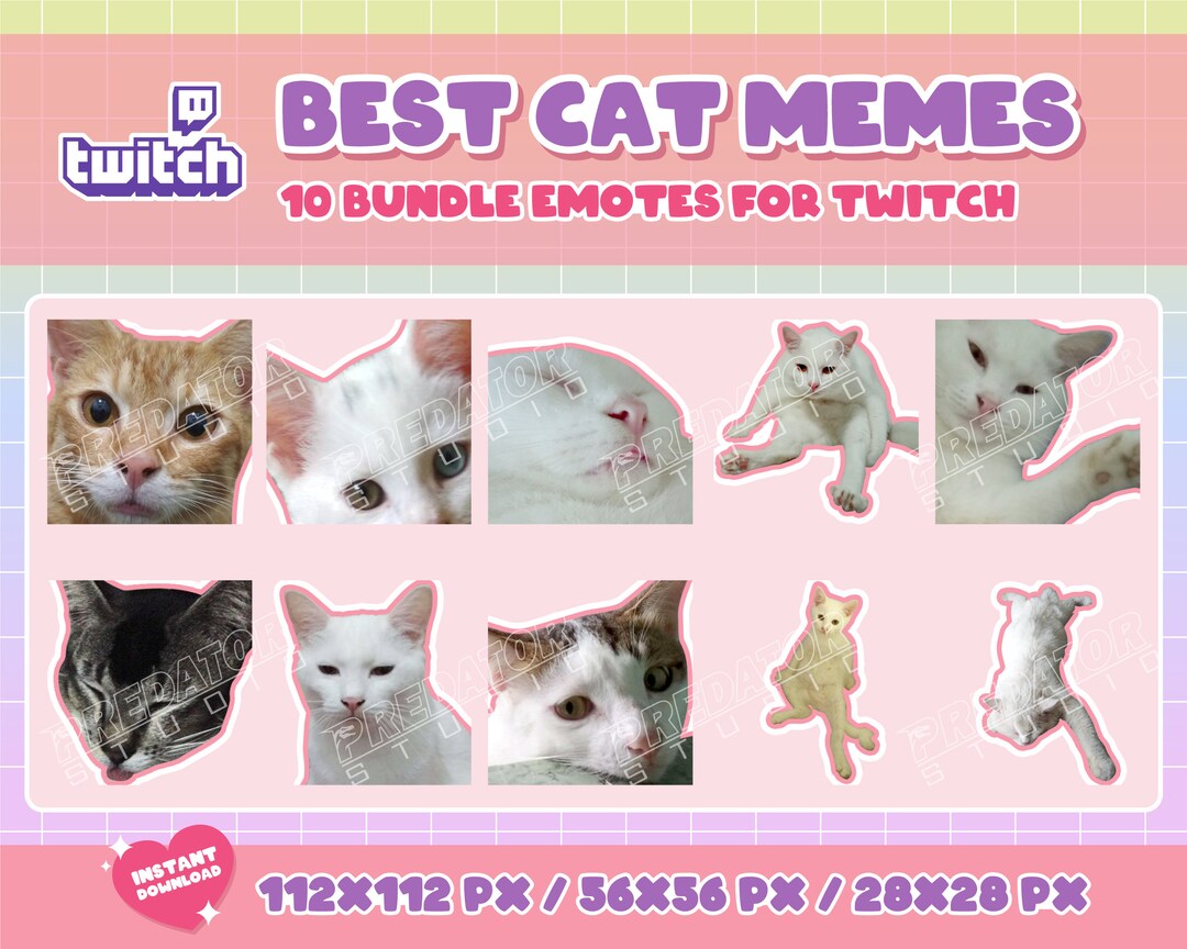 10 Cute Cat Memes Emote Pack 12, Emotes Twitch, Emote Commission, Cat ...
