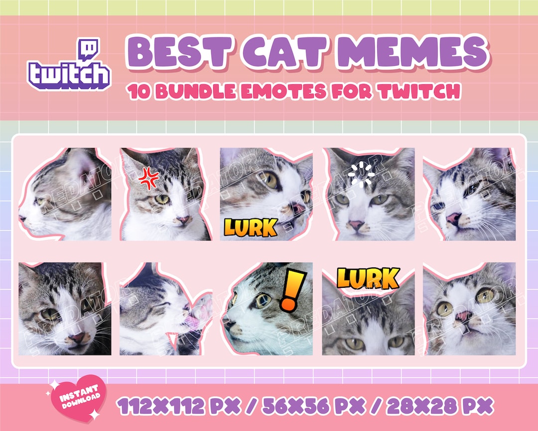 10 Cute Cat Memes Emote Pack 3, Kitty Emotes, Cat Emote, Emote ...