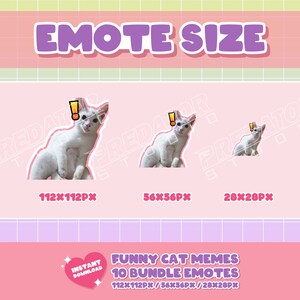 10 Cute Cat Memes Emote Pack 13, Lurk Emotes, Cat Emotes, Emote ...