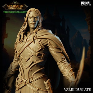 Dark Elf Varik | Tabletop Scale | TTRPG D&D Miniature | Primal ...