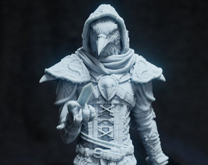 Corvo Baltar, Kenku Aarakocra Rogue Assassin Tabletop Scale TTRPG D&D ...
