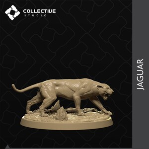 Panther DISPLAY SCALE D&D TTRPG Miniature Collective Studio - Etsy