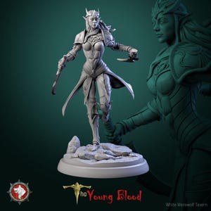Elven Female Warriors | TABLETOP SCALE | TTRPG Miniature | White Werewolf Tavern - Etsy