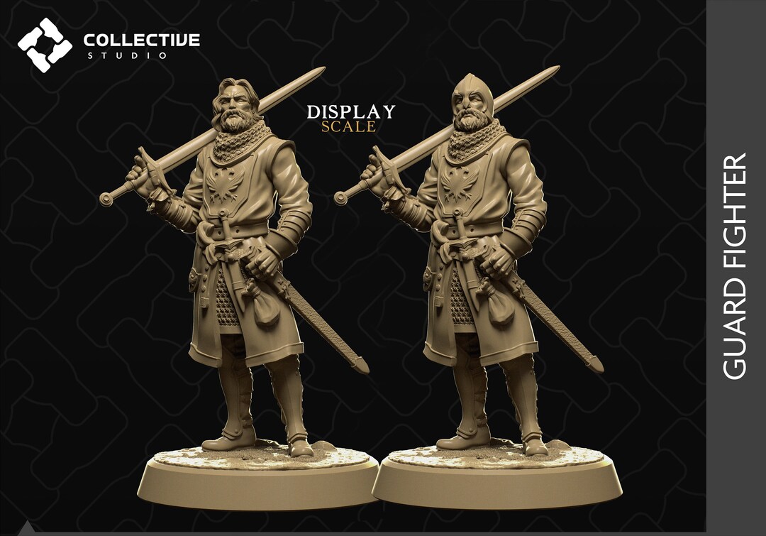 Guard Fighter DISPLAY SCALE D&D TTRPG Miniature Collective Studio - Etsy