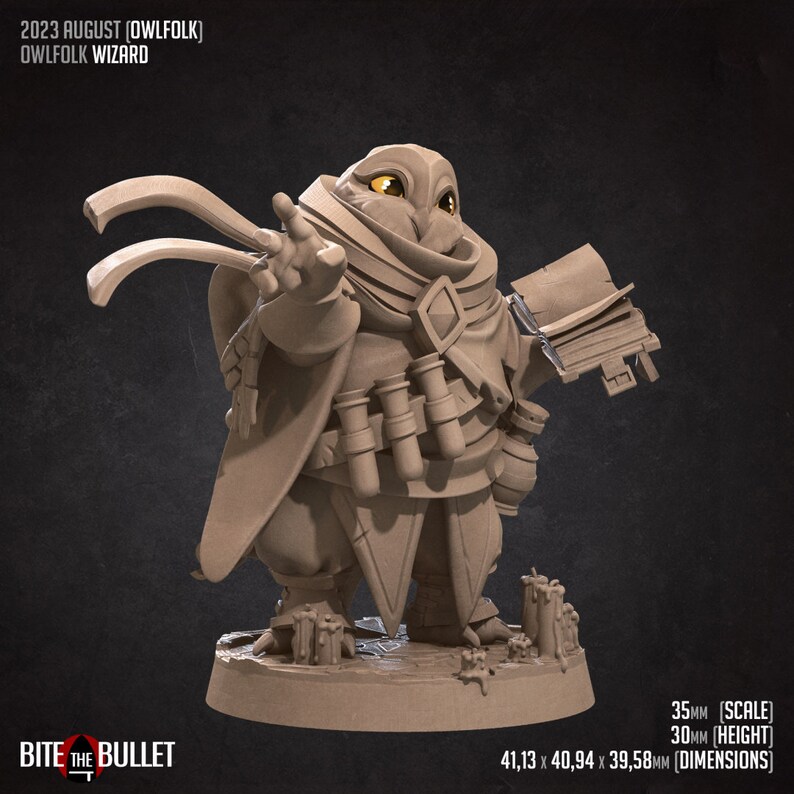 Owlfolk Wizard Miniature: Unpainted Resin Owlin for D&D TTRPG | 3D ...
