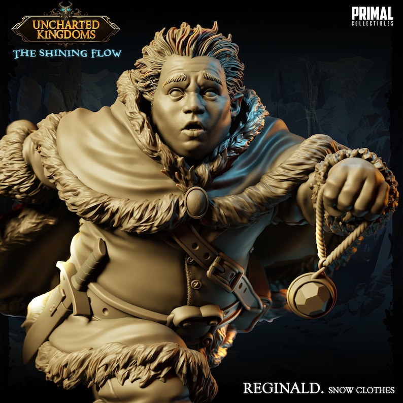 Halfling Rogue Reginald Snow Clothes | Tabletop Scale | TTRPG D&D ...
