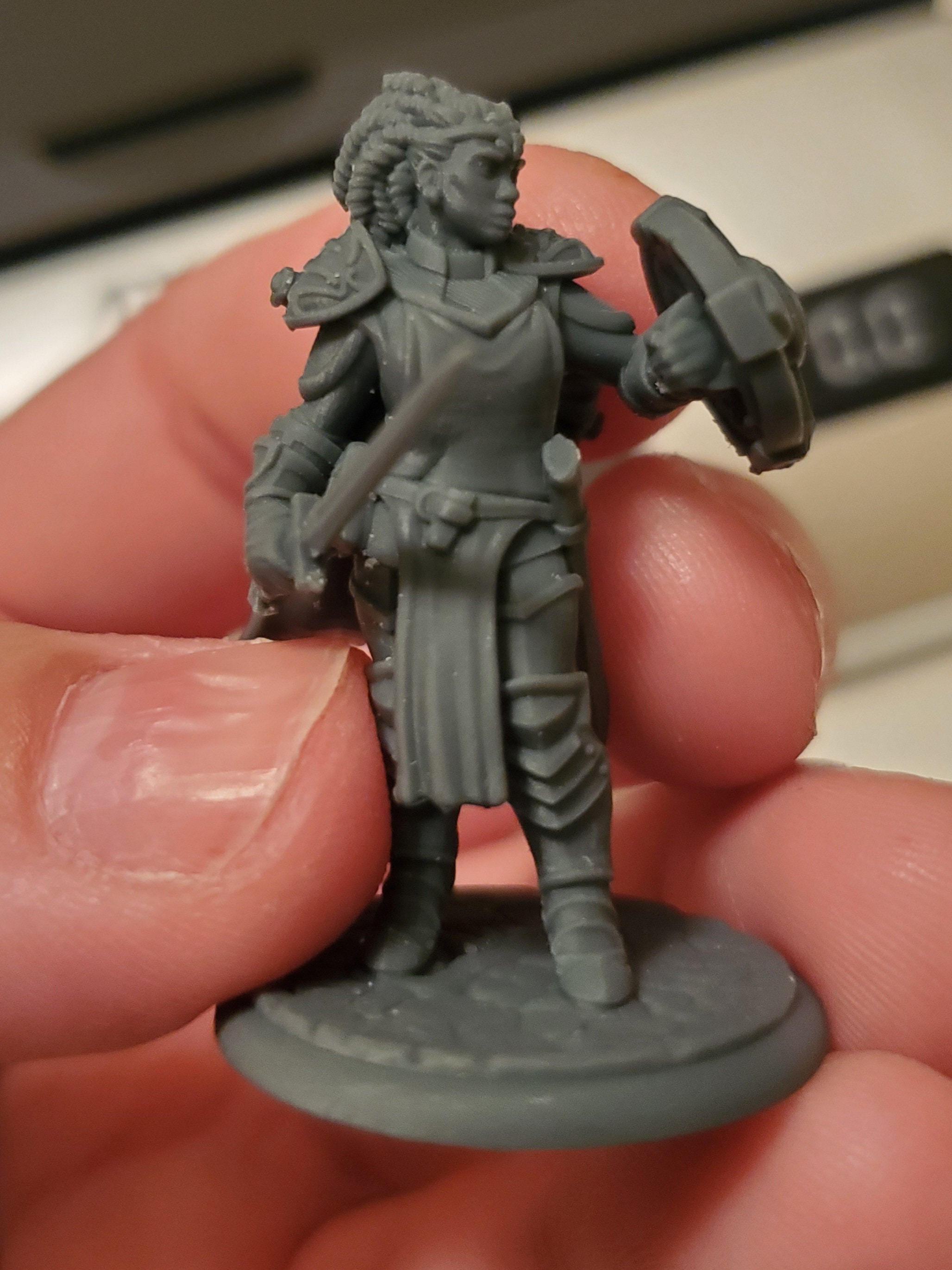 Heroforge Miniature 3D Resin Printing Service Let Us Print - Etsy