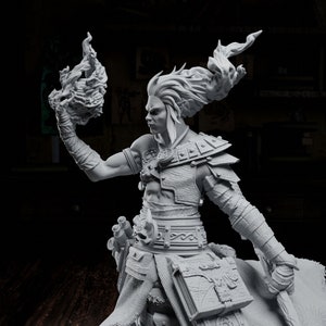 Azael Vatra, Fire Genasi Elf Sorcerer Warlock | Tabletop Scale, Display ...