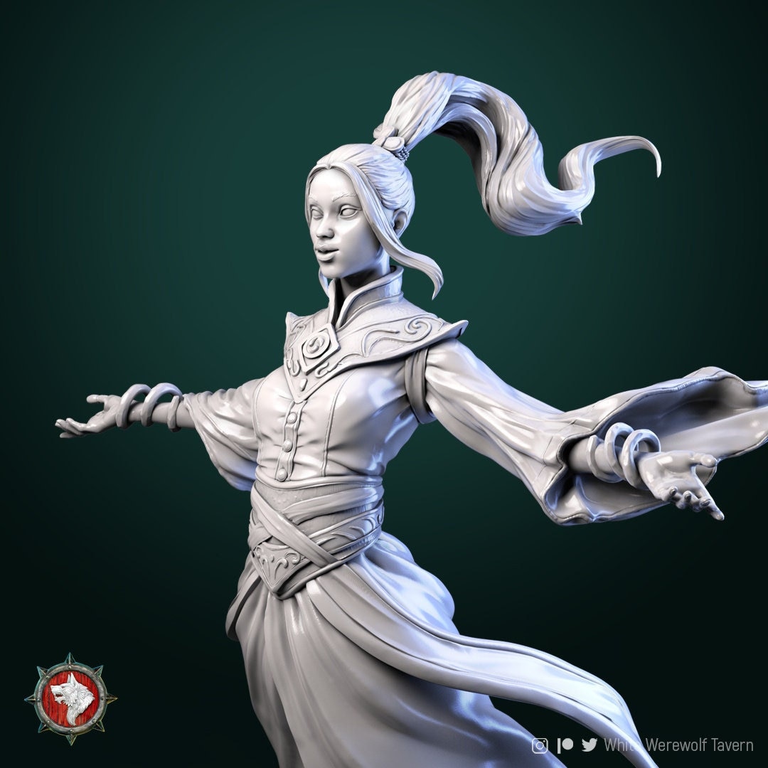 Air Master | TABLETOP SCALE | TTRPG Miniature | White Werewolf Tavern ...