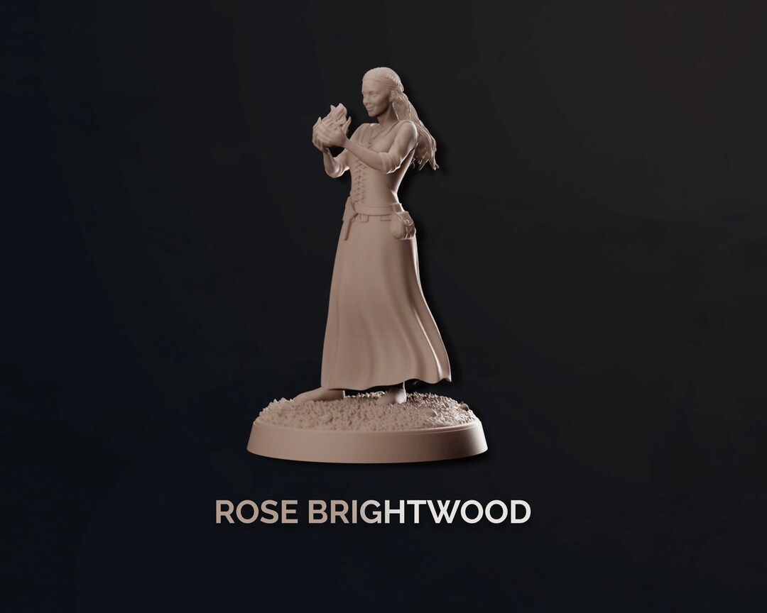 Rose Brightwood Human Sorcerer Tabletop Scale TTRPG D&D - Etsy