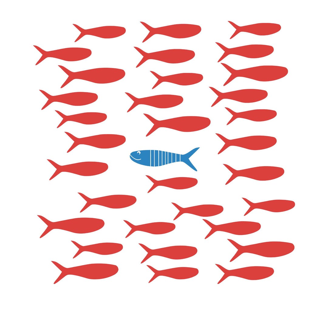 Fish, Sardines Design, Cute Fish Graphic, Retro Fisherman Aesthetic ...