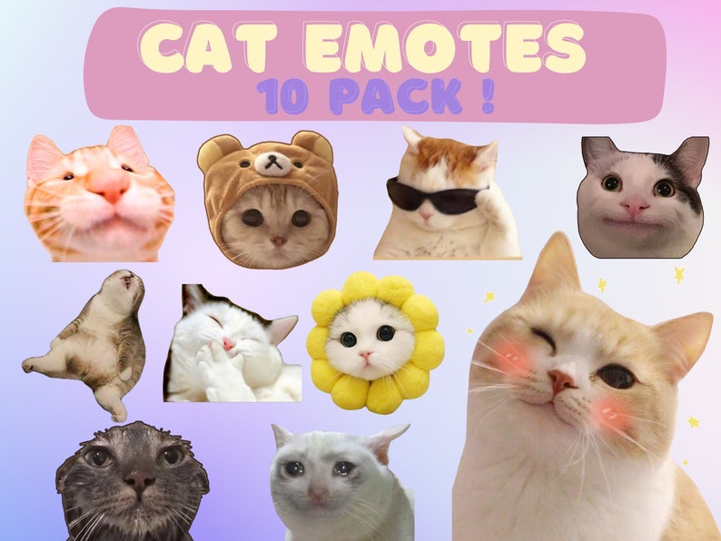 Cat Emotes 10 Pack! | Twitch & Discord | Funny, Cute, Unique Cat Emotes ...