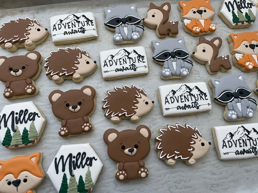 Adventure Awaits Woodland Animals Cookies, Adventure Awaits Baby Shower ...