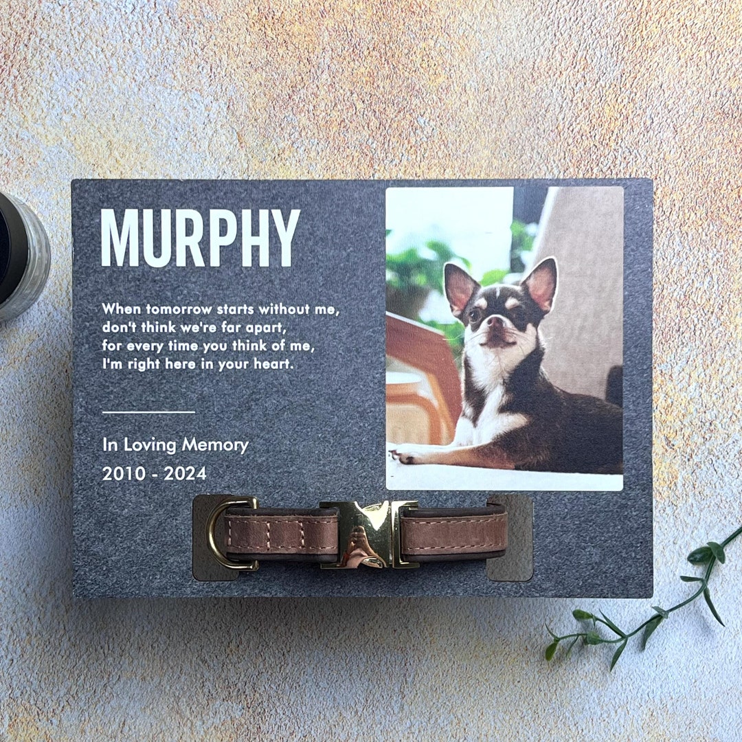Memorial Dog Collar Sign, Pet Memorial Frame With Collar Holder, Dog ...