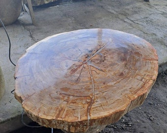 Fossil Slab Table - Etsy
