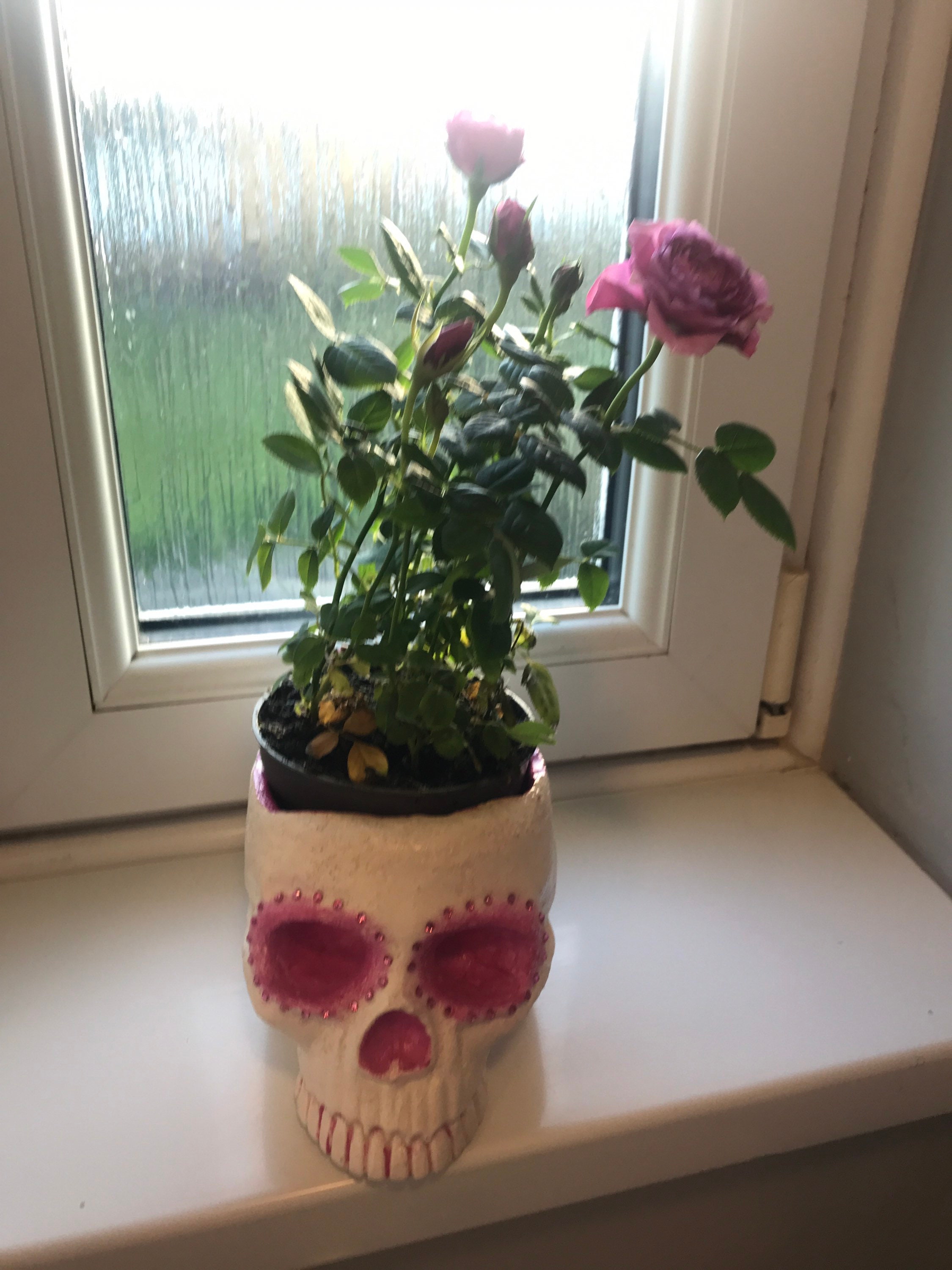Sugar Skull Style Skull Plant Pot - Etsy