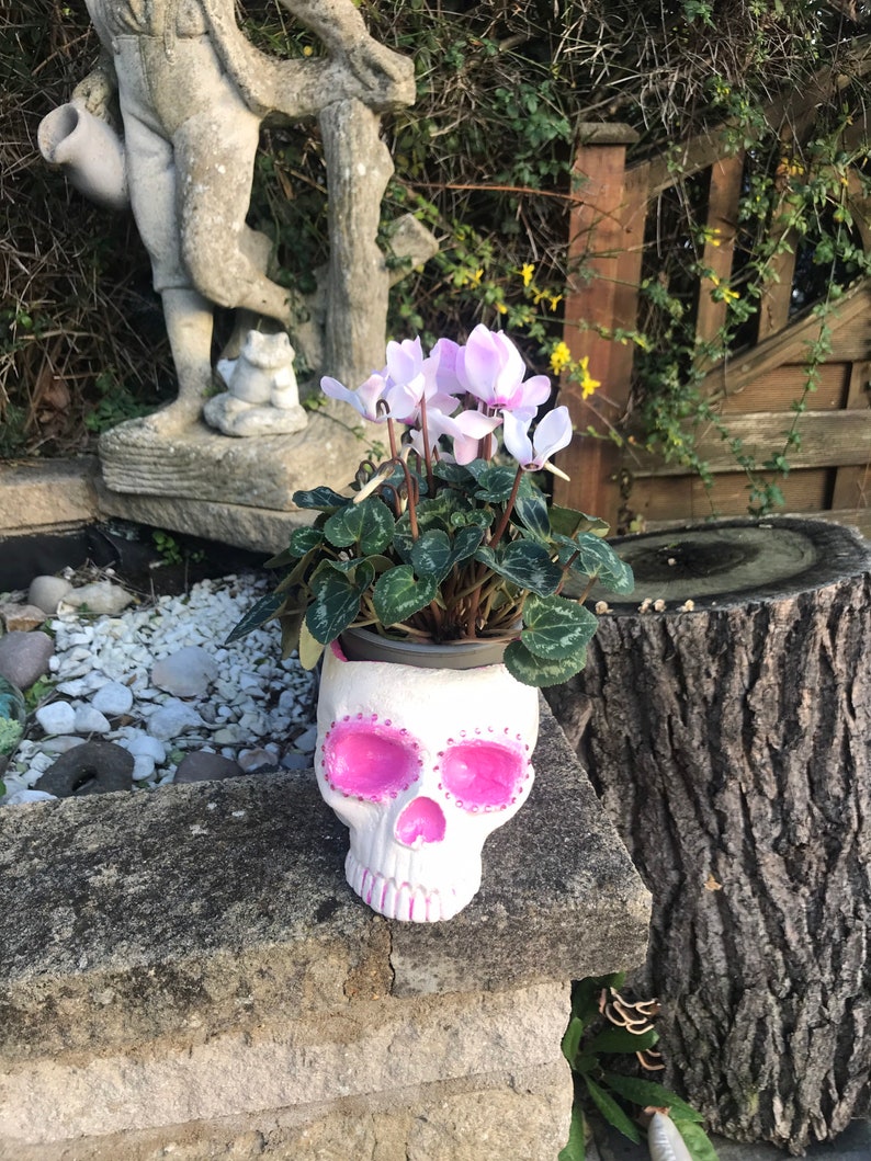 Sugar Skull Style Skull Plant Pot - Etsy