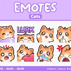 Orange Cats | Emote Bundle for Twitch, Discord and Youtube | Stream ...