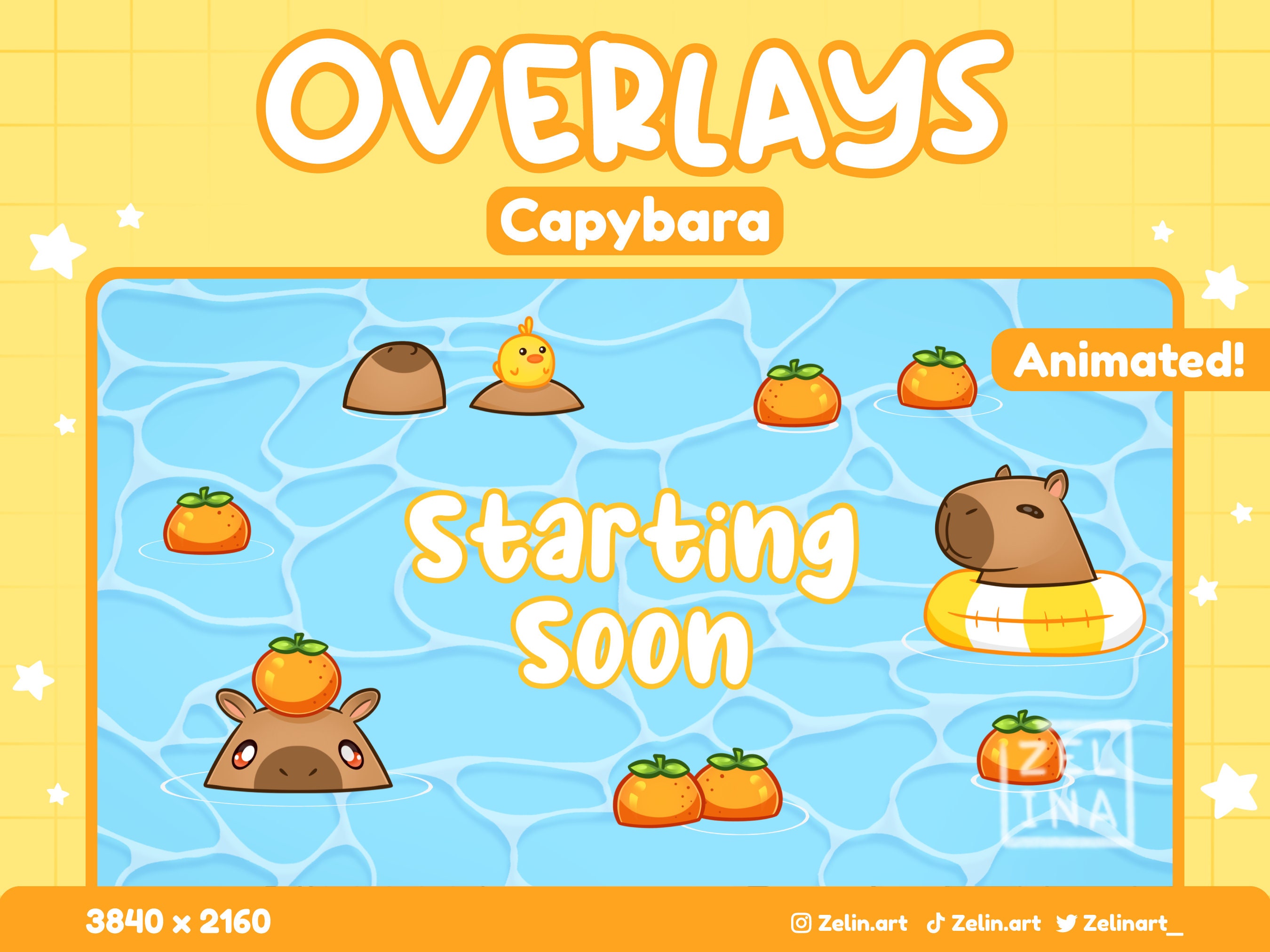 ANIMATED Capybara Overlays and Scenes for Twitch Starting, BRB, Ending ...
